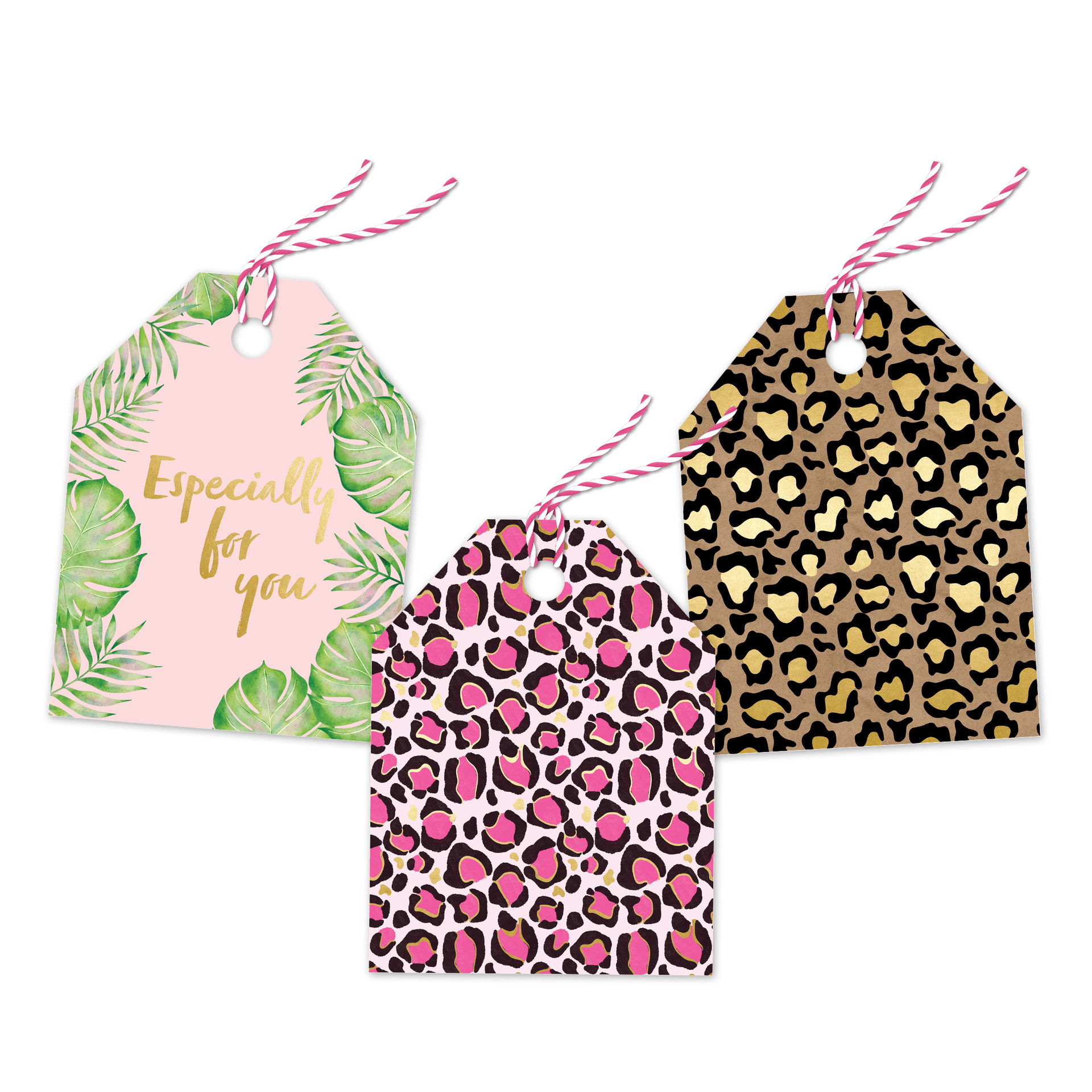 Leopard Print Assortment Gift Tags