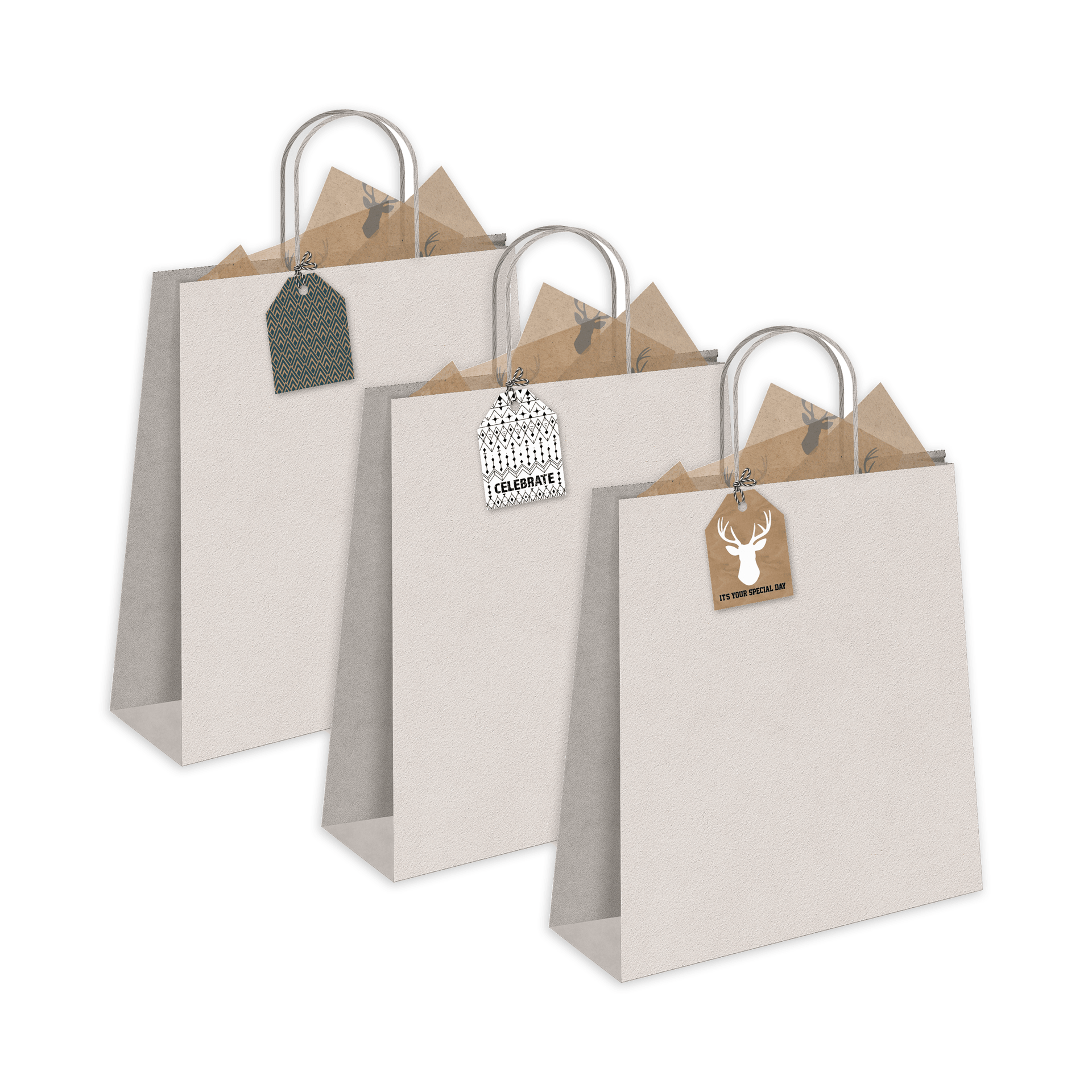 Masculine Assortment Gift Tags