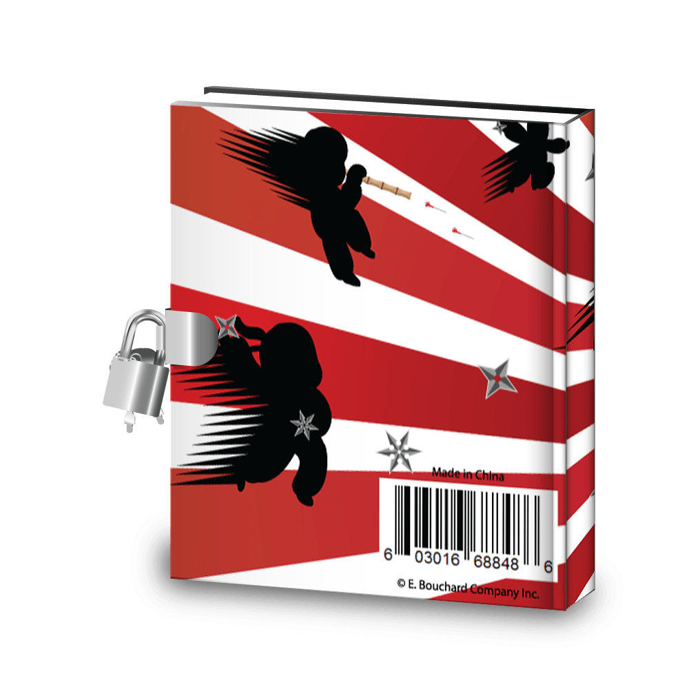 Diary With Lock Back